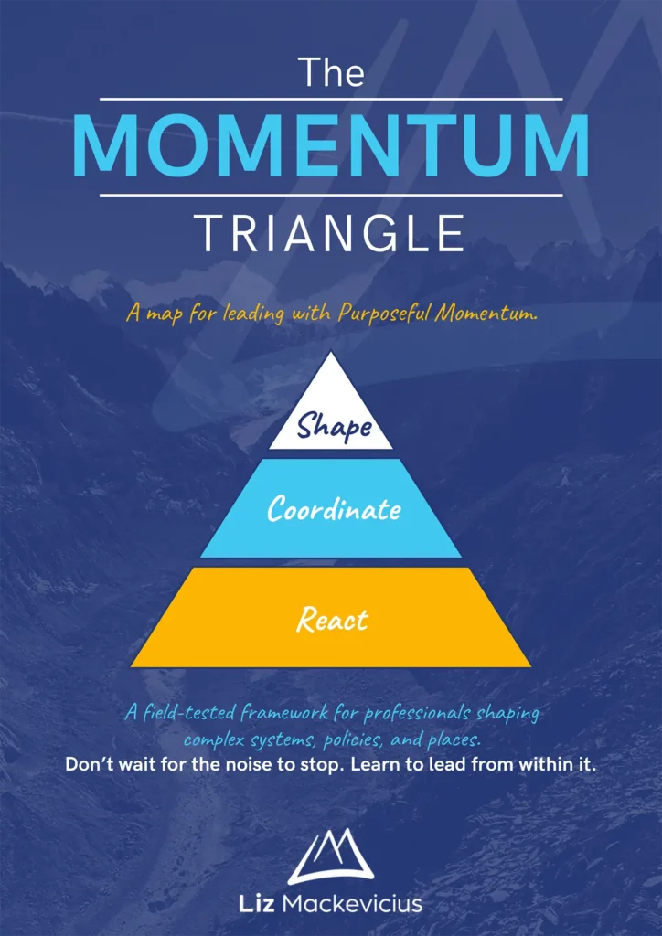 Momentum Triangle - Liz Mackevicius